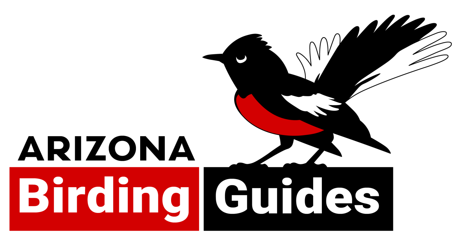 Arizona Birding Guides - More Birds. Better Photos. Your List.