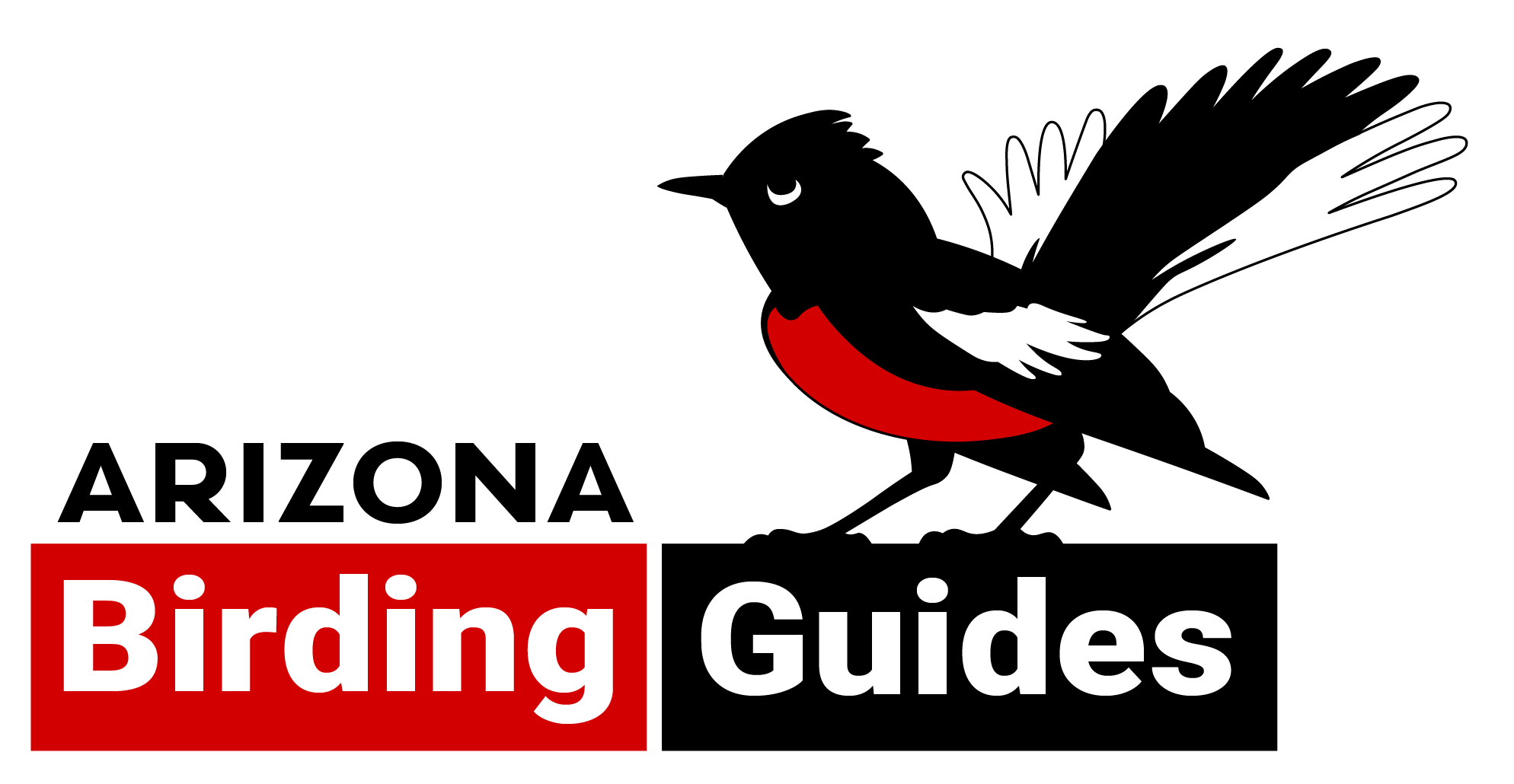 About - Arizona Birding Guides